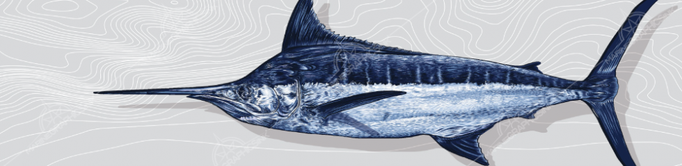 Offshore - Marine Graphics Ink